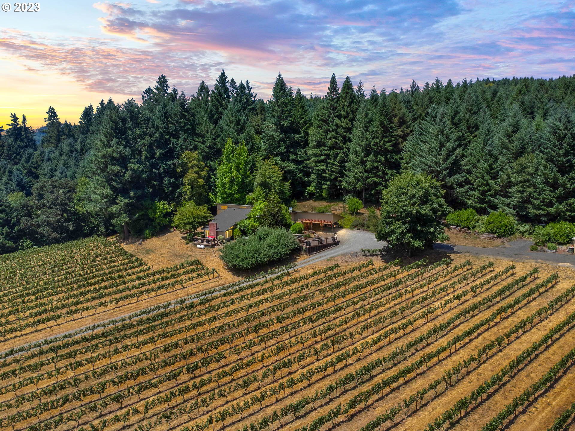 RMLSweb - Photo Viewer