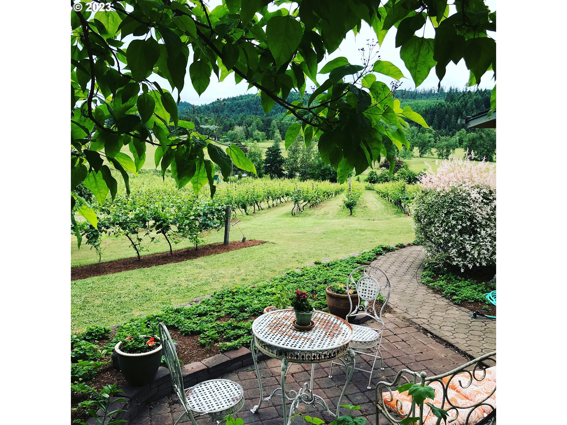 RMLSweb - Photo Viewer