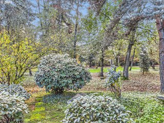 RMLSweb - Photo Viewer